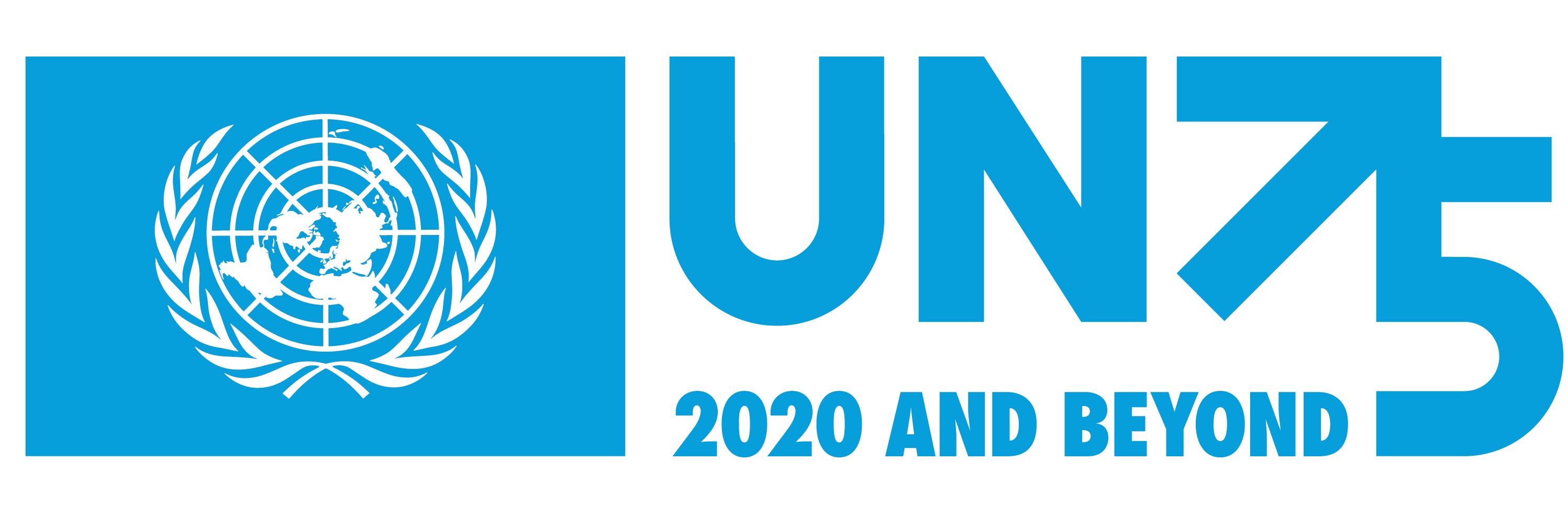 UN75 SURVEY | UNTSO